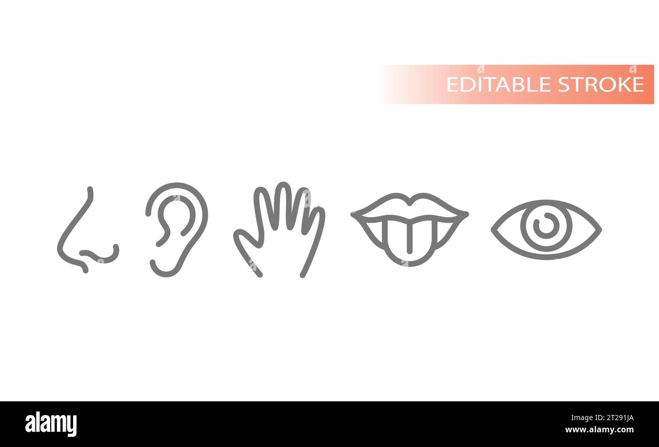 Five senses, human sensory organs icons. Touch, smell, see and taste ...
