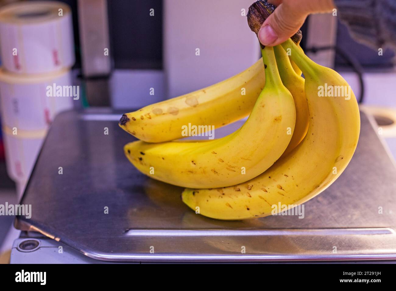 weighing a bunch of ripe yellow bananas on a supermarket scale Stock ...