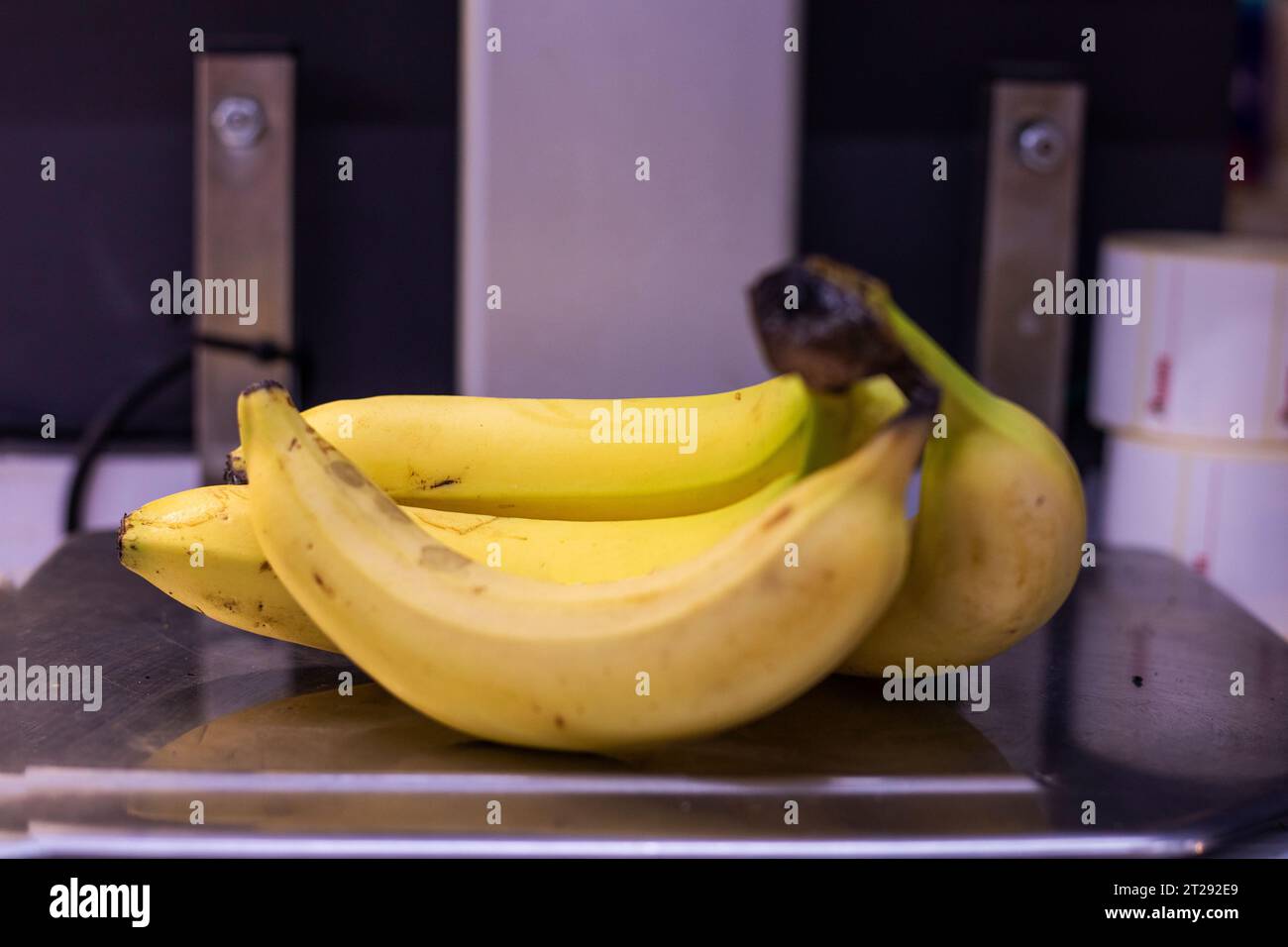 weighing a bunch of ripe yellow bananas on a supermarket scale Stock ...