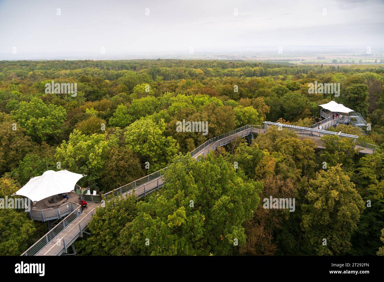 The Hainich National Park, National park in Thuringia, Germany Stock ...