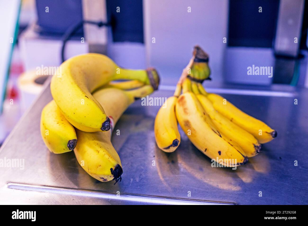 weighing bunches of different types of ripe yellow bananas on scales in ...