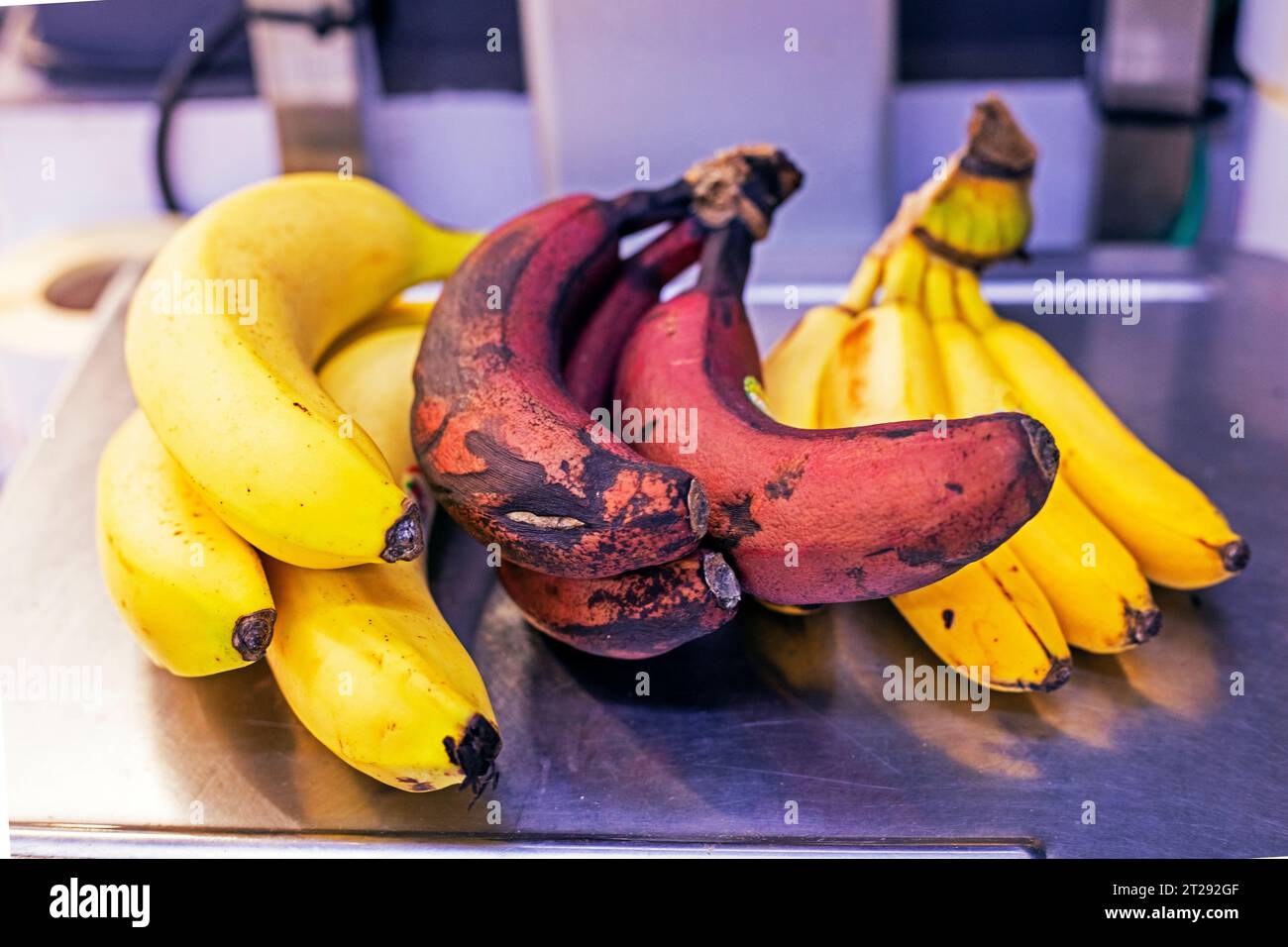 weighing bunches of different types of ripe yellow bananas on scales in ...