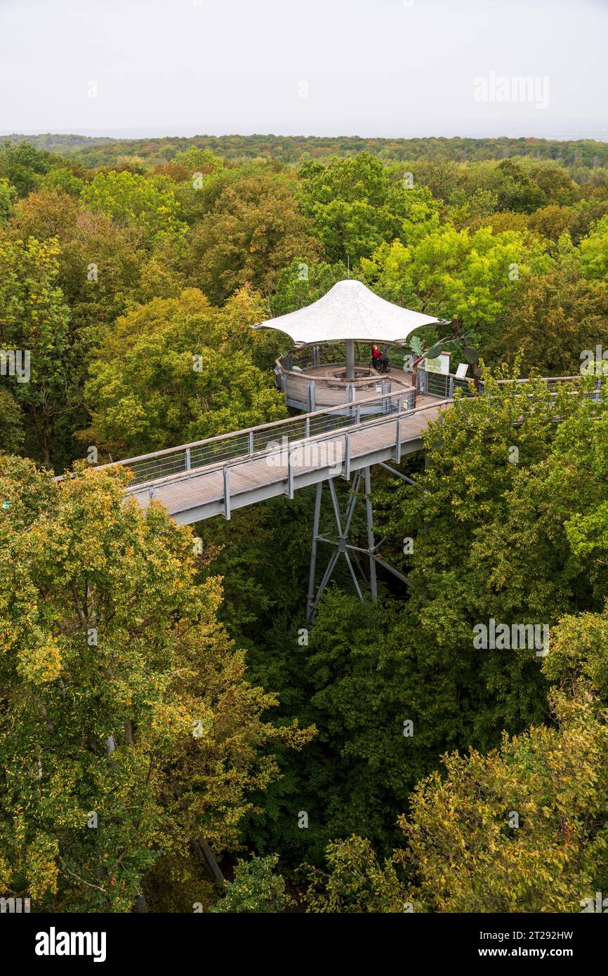 The Hainich National Park, National park in Thuringia, Germany Stock ...
