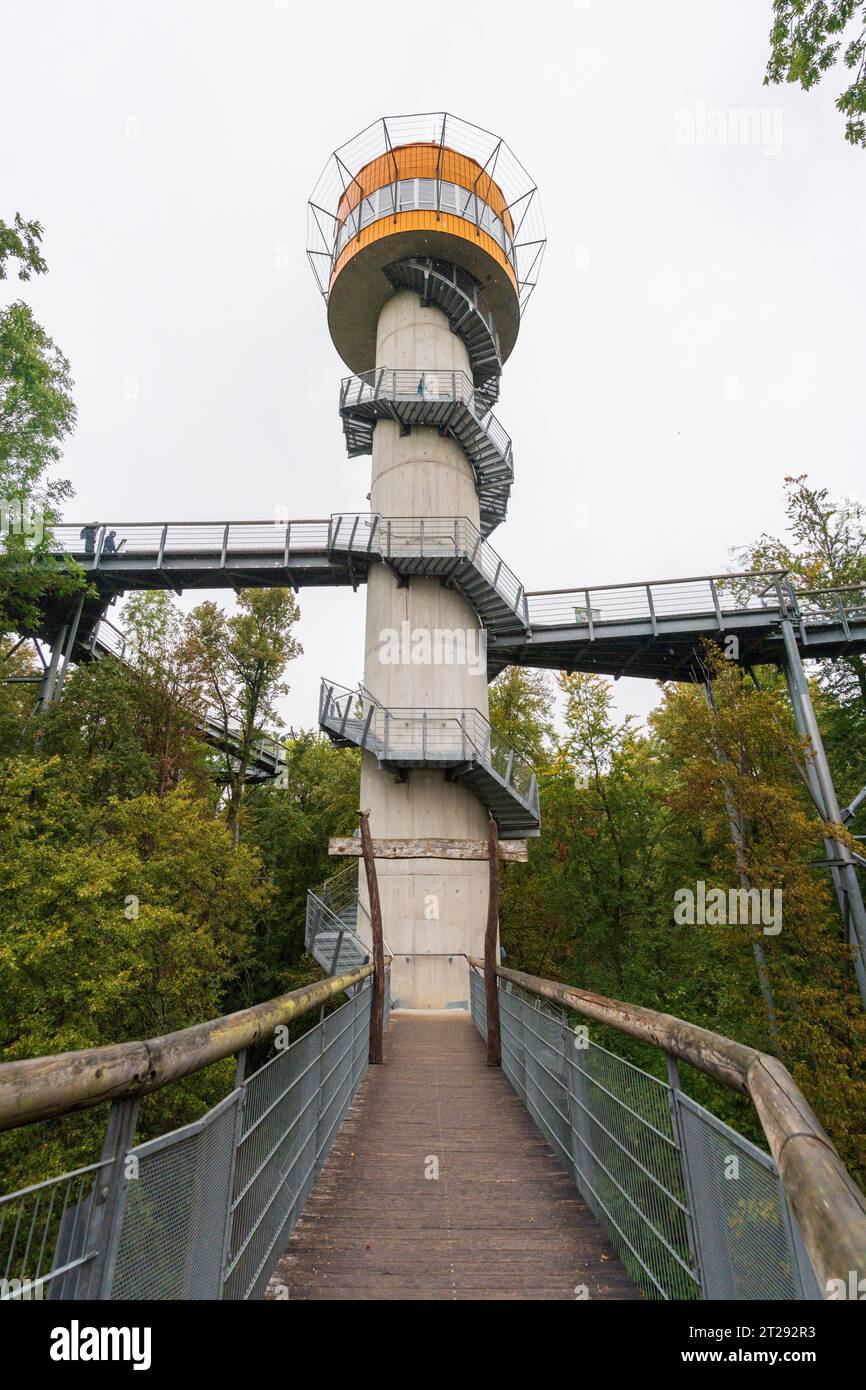 The Hainich National Park, National park in Thuringia, Germany Stock ...