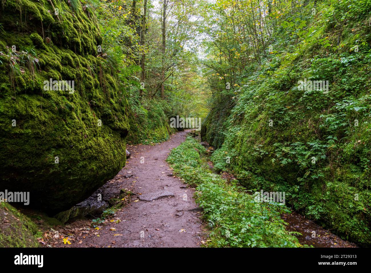 The Dragon Gorge, Hiking area in Eisenach, Thuringia, Germany Stock ...