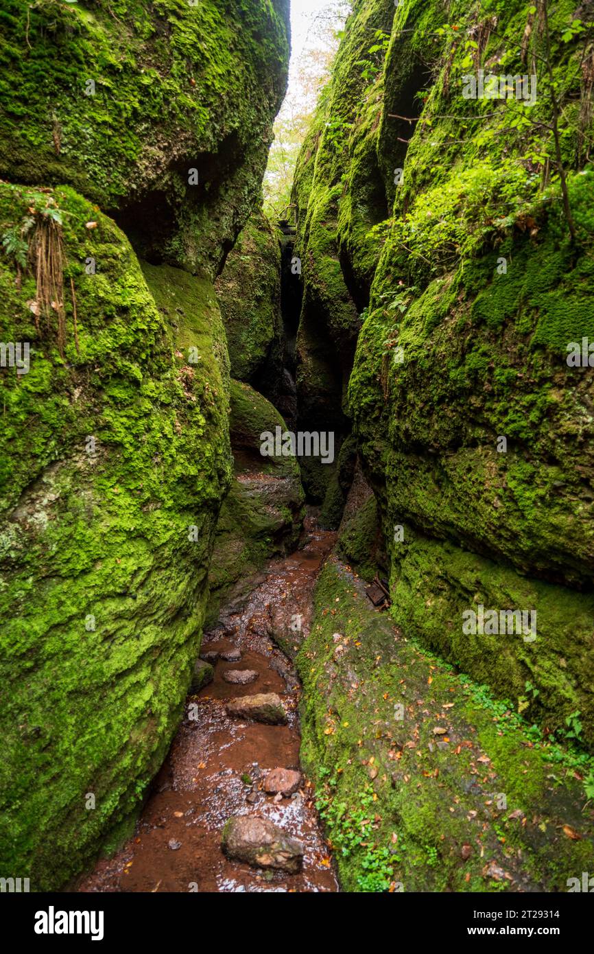The Dragon Gorge, Hiking area in Eisenach, Thuringia, Germany Stock ...