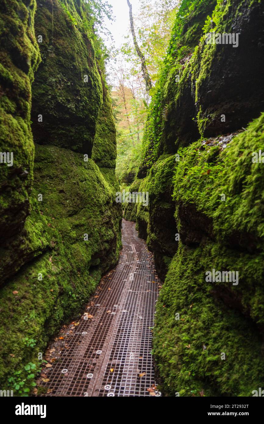 The Dragon Gorge, Hiking area in Eisenach, Thuringia, Germany Stock ...