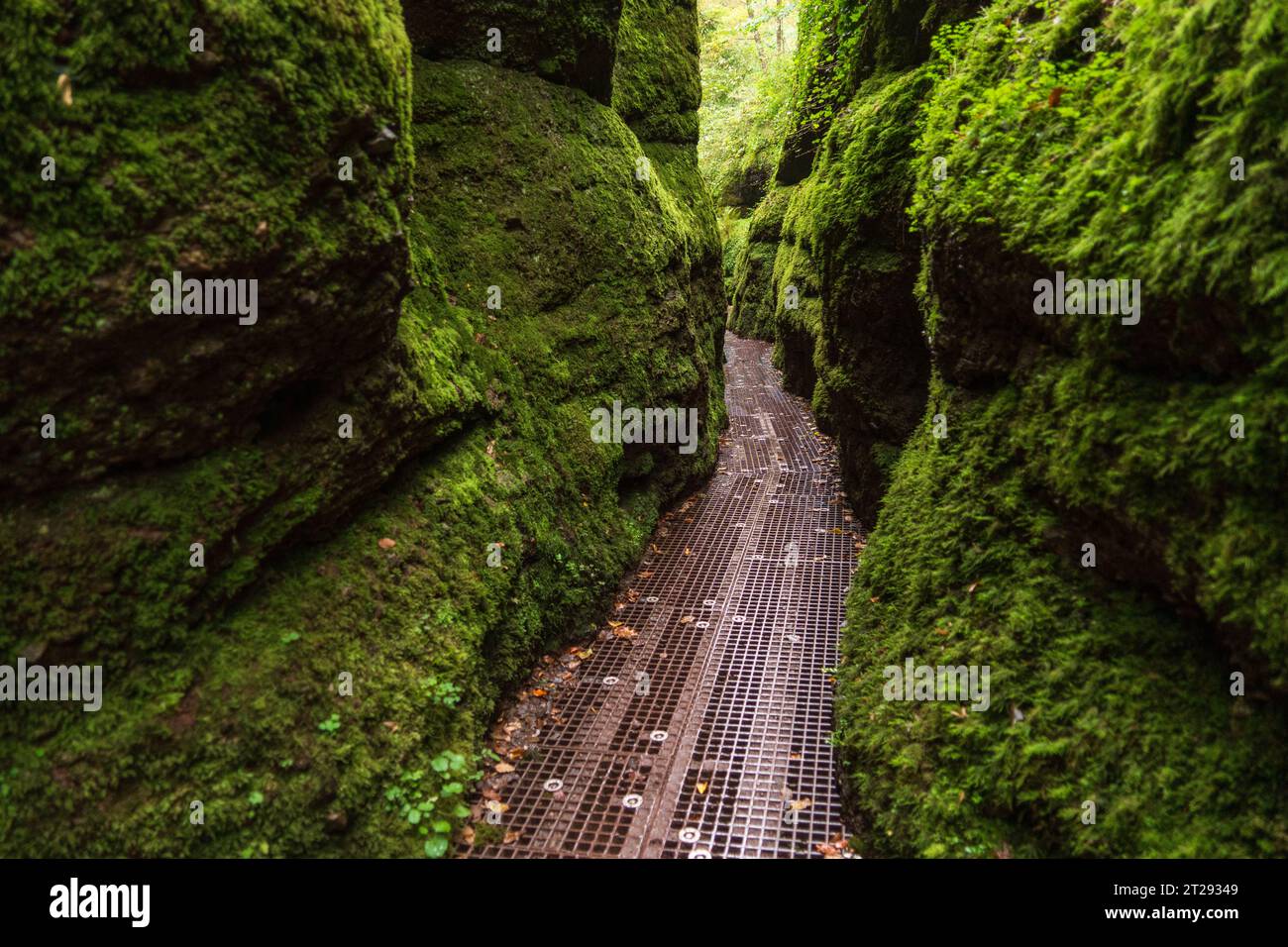 The Dragon Gorge, Hiking area in Eisenach, Thuringia, Germany Stock ...