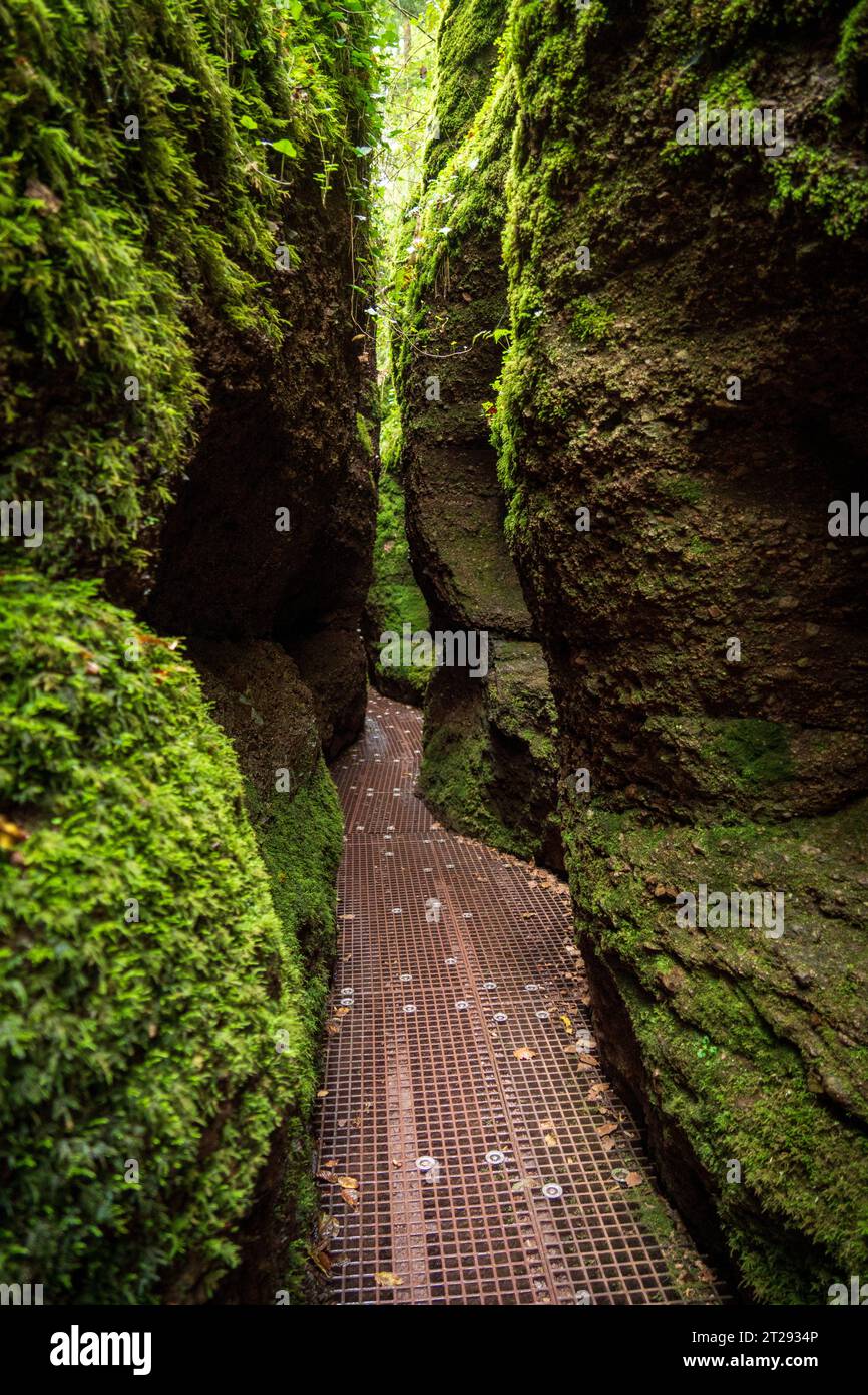 The Dragon Gorge, Hiking area in Eisenach, Thuringia, Germany Stock ...
