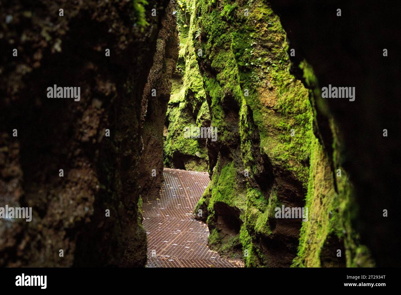 The Dragon Gorge, Hiking area in Eisenach, Thuringia, Germany Stock ...