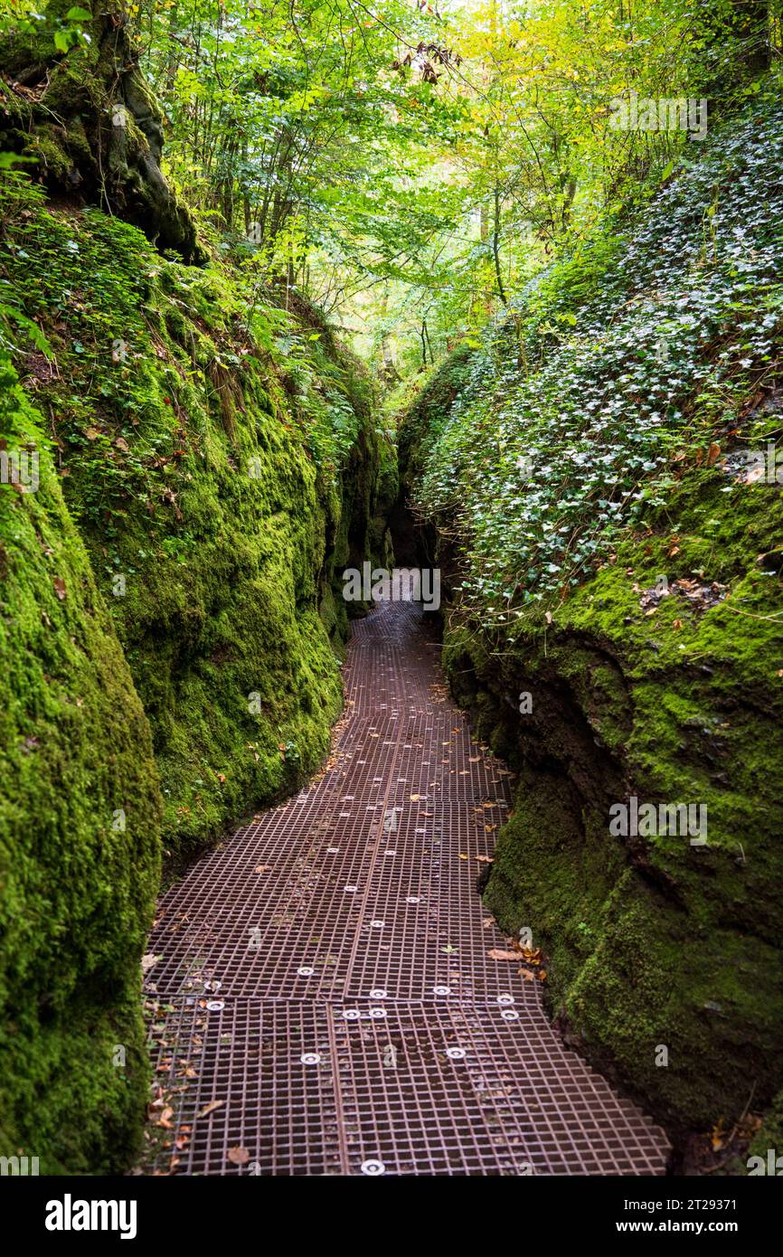 The Dragon Gorge, Hiking area in Eisenach, Thuringia, Germany Stock ...