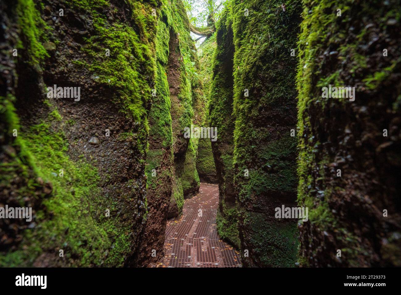 The Dragon Gorge, Hiking area in Eisenach, Thuringia, Germany Stock ...
