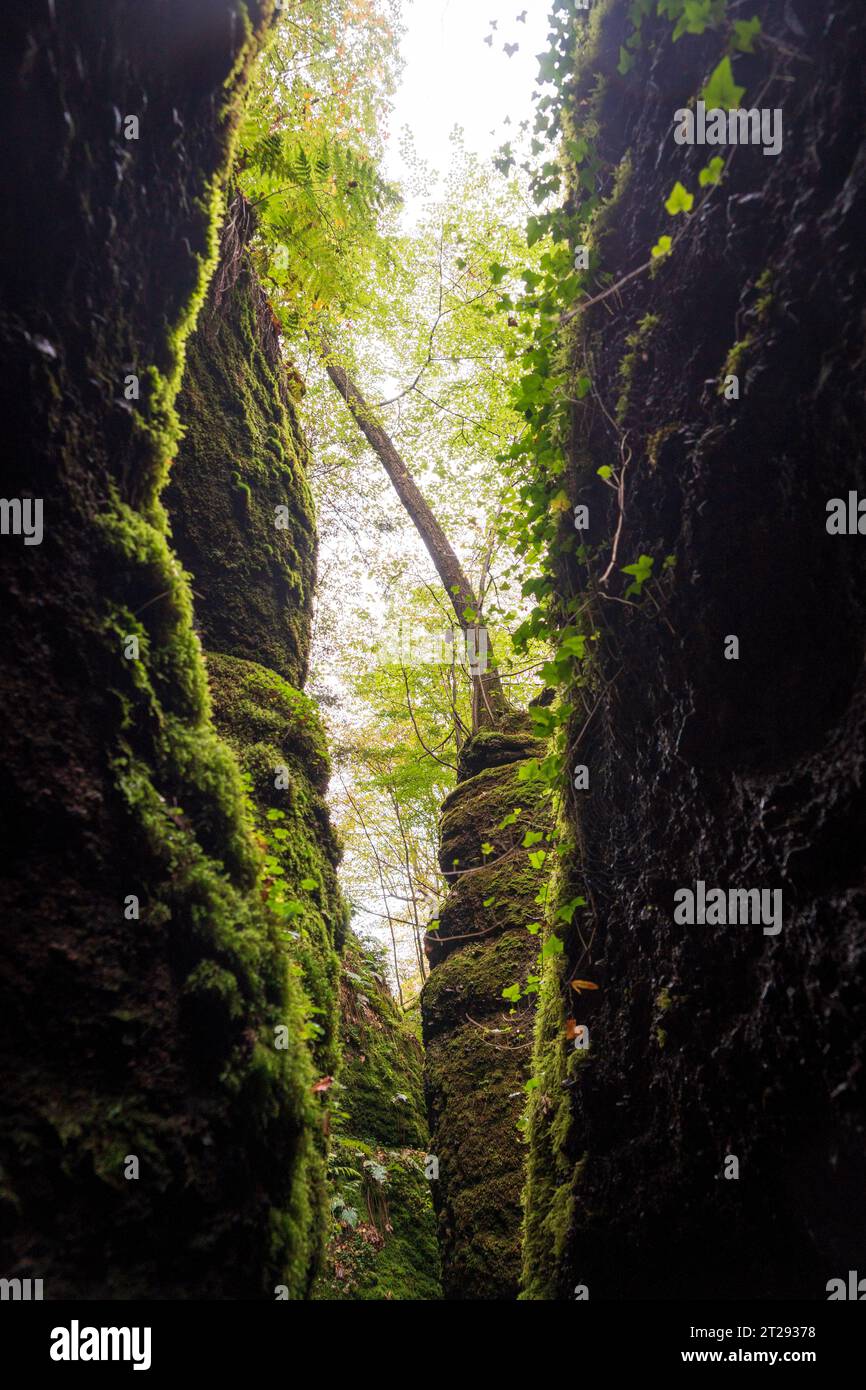 The Dragon Gorge, Hiking area in Eisenach, Thuringia, Germany Stock ...