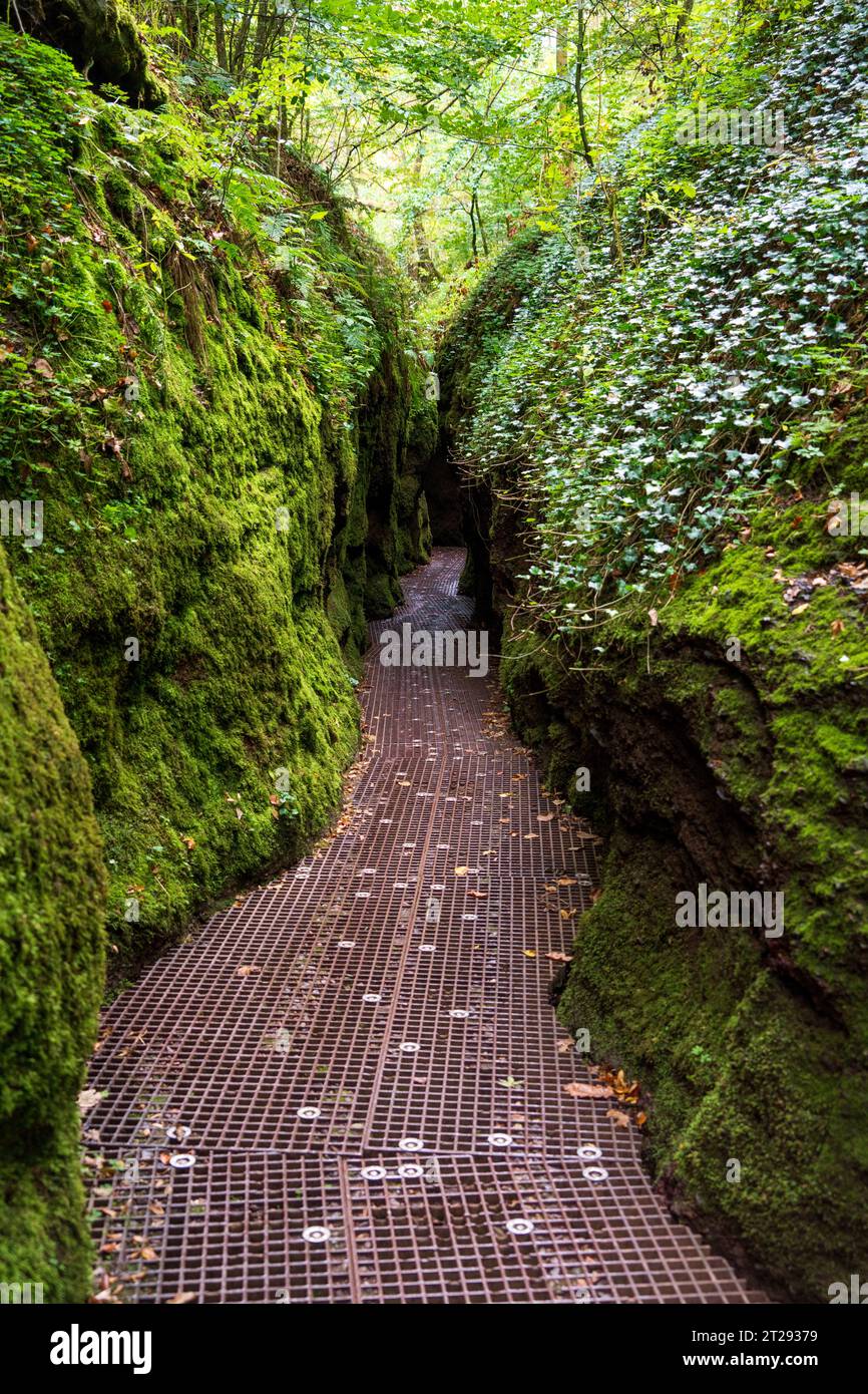 The Dragon Gorge, Hiking area in Eisenach, Thuringia, Germany Stock ...