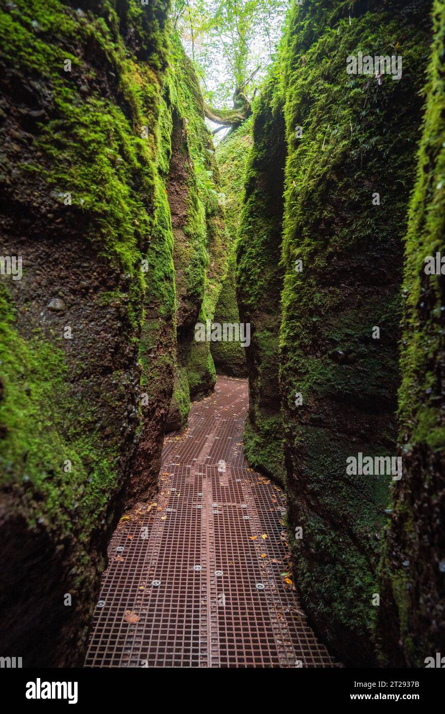 The Dragon Gorge, Hiking area in Eisenach, Thuringia, Germany Stock ...