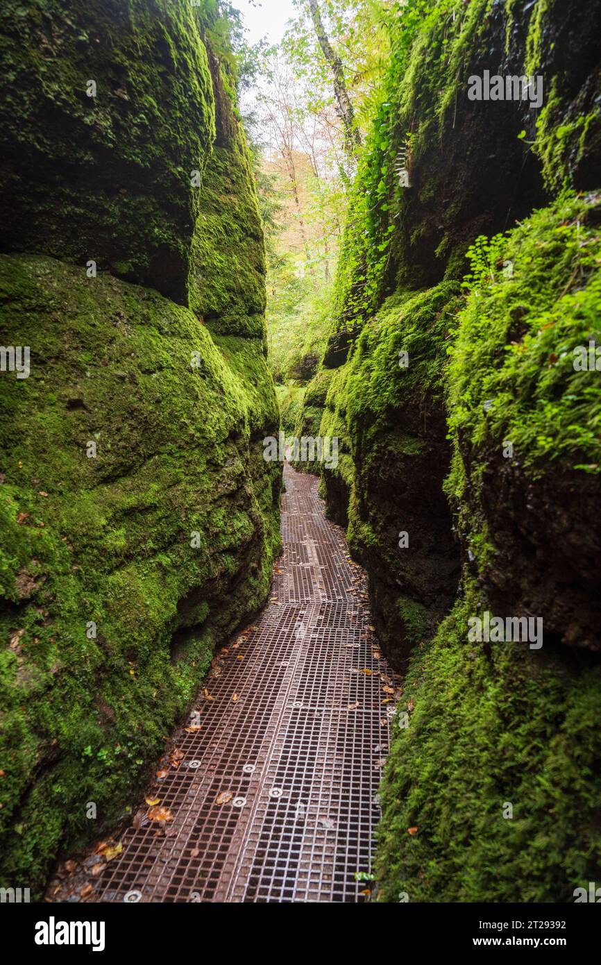 The Dragon Gorge, Hiking area in Eisenach, Thuringia, Germany Stock ...