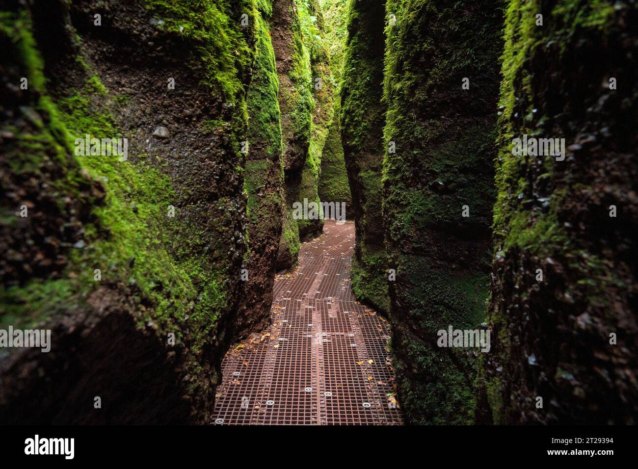 The Dragon Gorge, Hiking area in Eisenach, Thuringia, Germany Stock ...
