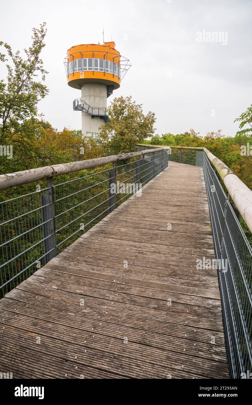 The Hainich National Park, National park in Thuringia, Germany Stock ...
