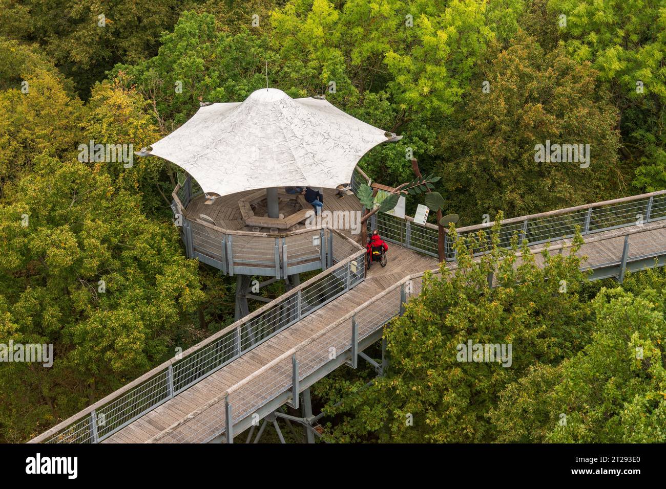 The Hainich National Park, National park in Thuringia, Germany Stock ...