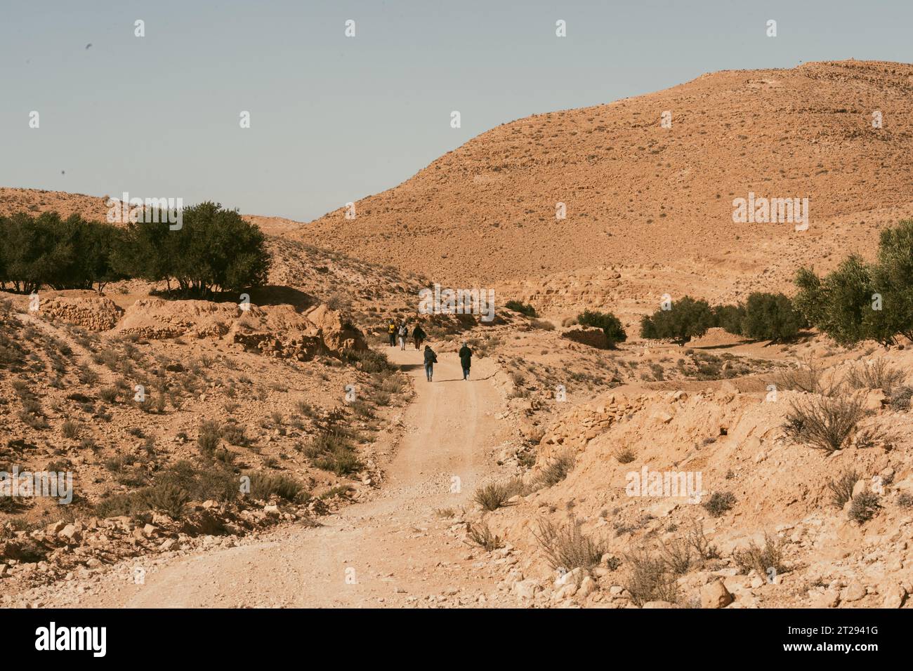 Sahara pathway hi-res stock photography and images - Alamy