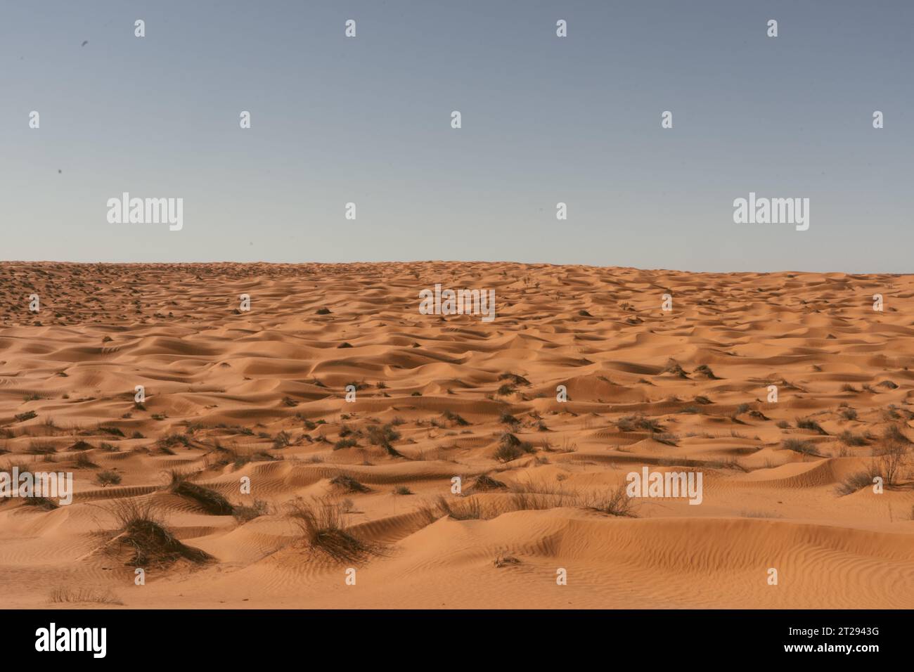 Dunes trail hi-res stock photography and images - Alamy