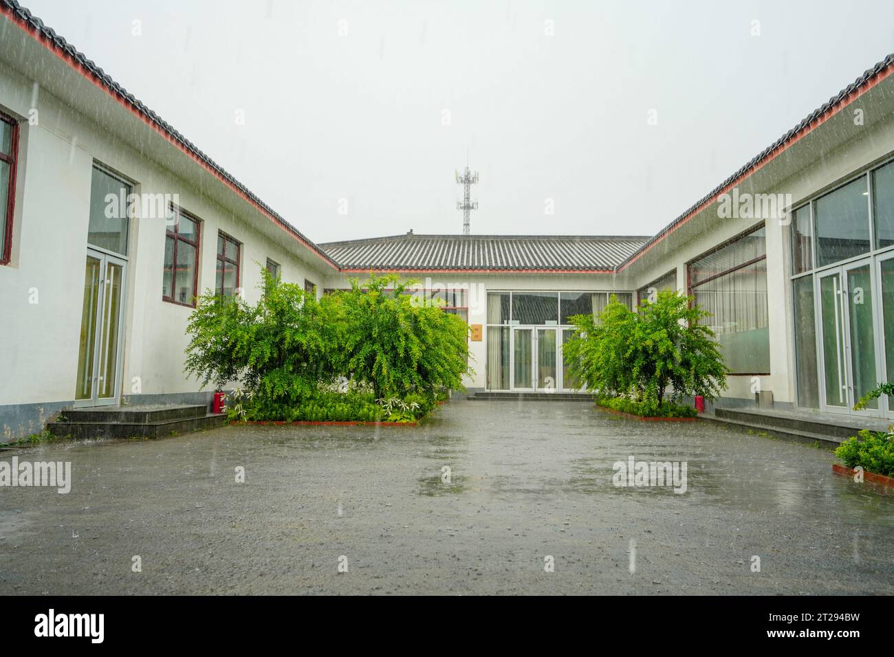 Plants for courtyards hi-res stock photography and images - Alamy