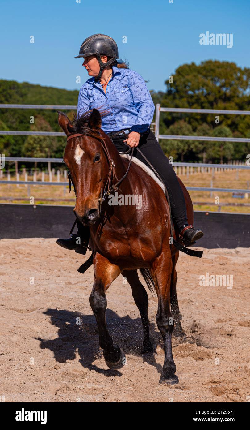 Horsearena hi-res stock photography and images - Alamy