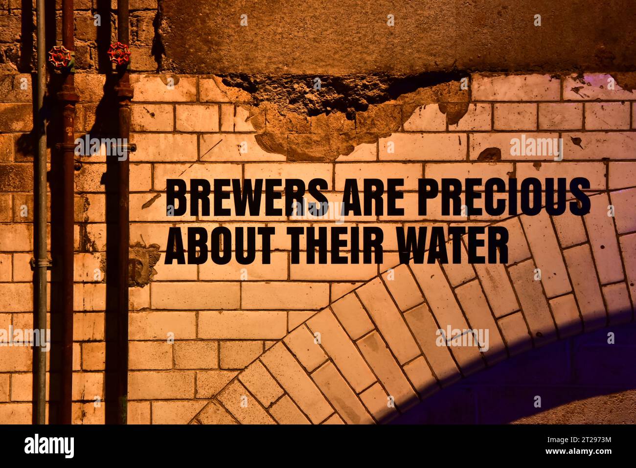 "Brewers are precious about their water", Guinness Storehouse, Dublin ...