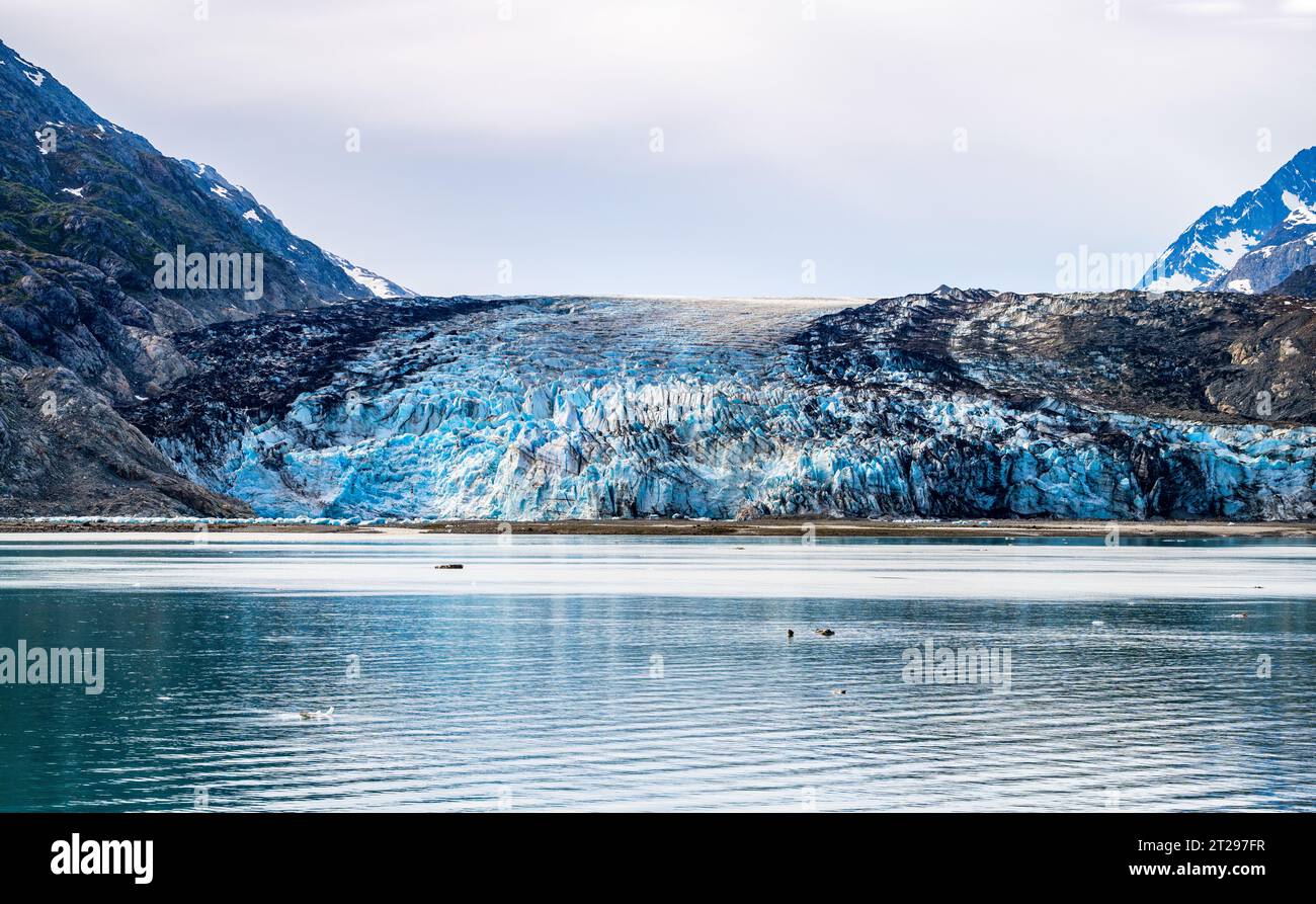 The Lamplugh Glacier is 8 miles long, terminating here in Johns Hopkins ...