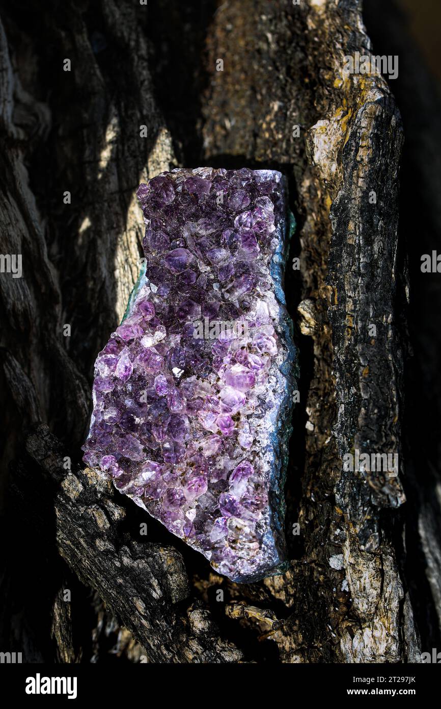 Beautiful purple amethys crystal cluster Stock Photo - Alamy