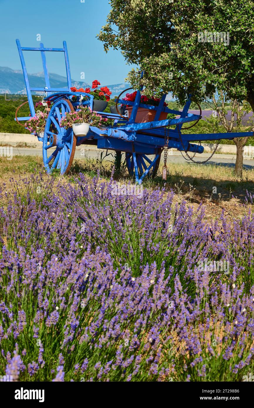 Hay cart hi-res stock photography and images - Alamy
