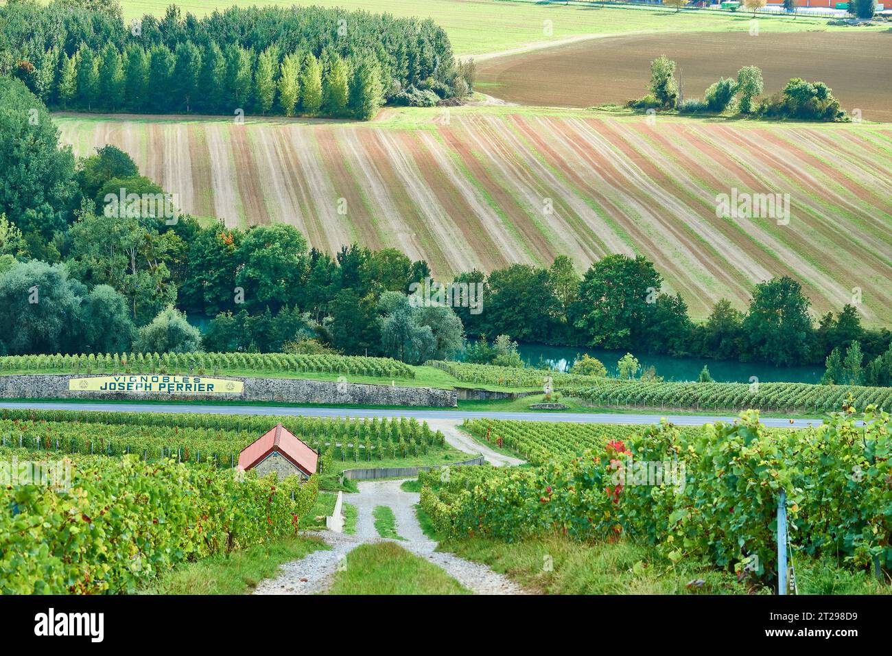 Vineyards of Joseph Perrier next to the River Marne in the Champagne ...