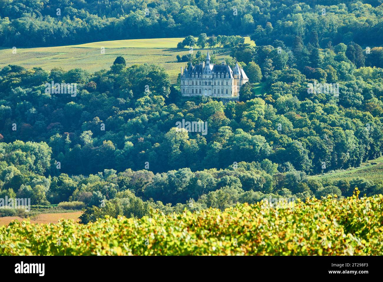 Elegant French Chateau Surrounded by the Scenic Lush Green Forest and ...