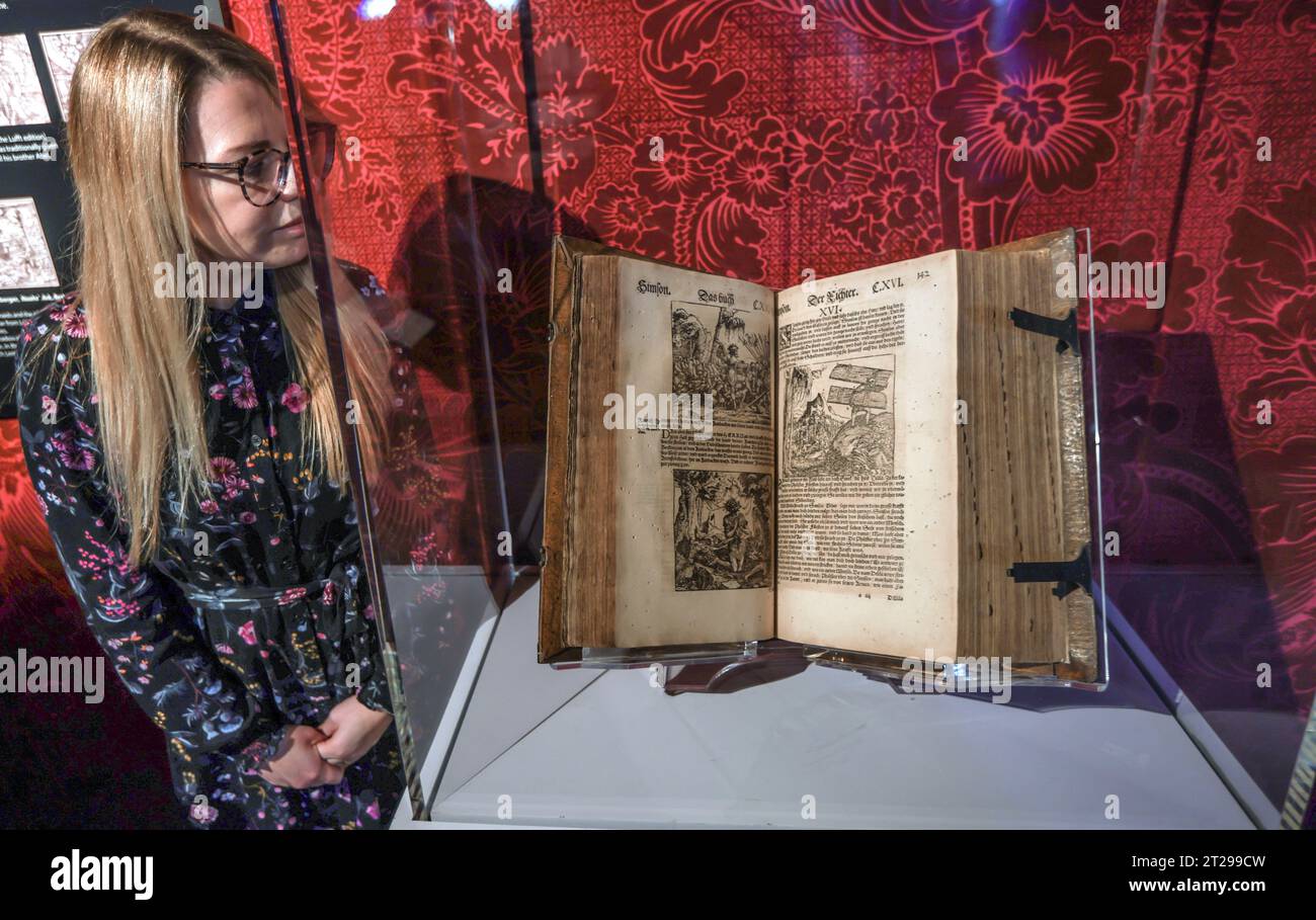 Luthers complete bible with cranachs illustrations hi-res stock ...