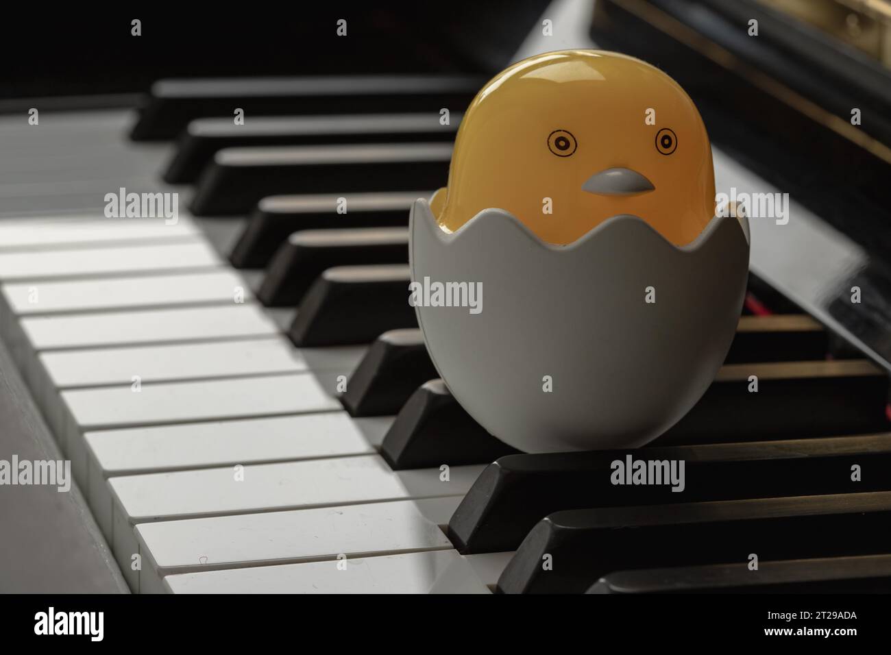 Baby chick cartoon sitting in broken egg stand on the Piano Keyboard ...
