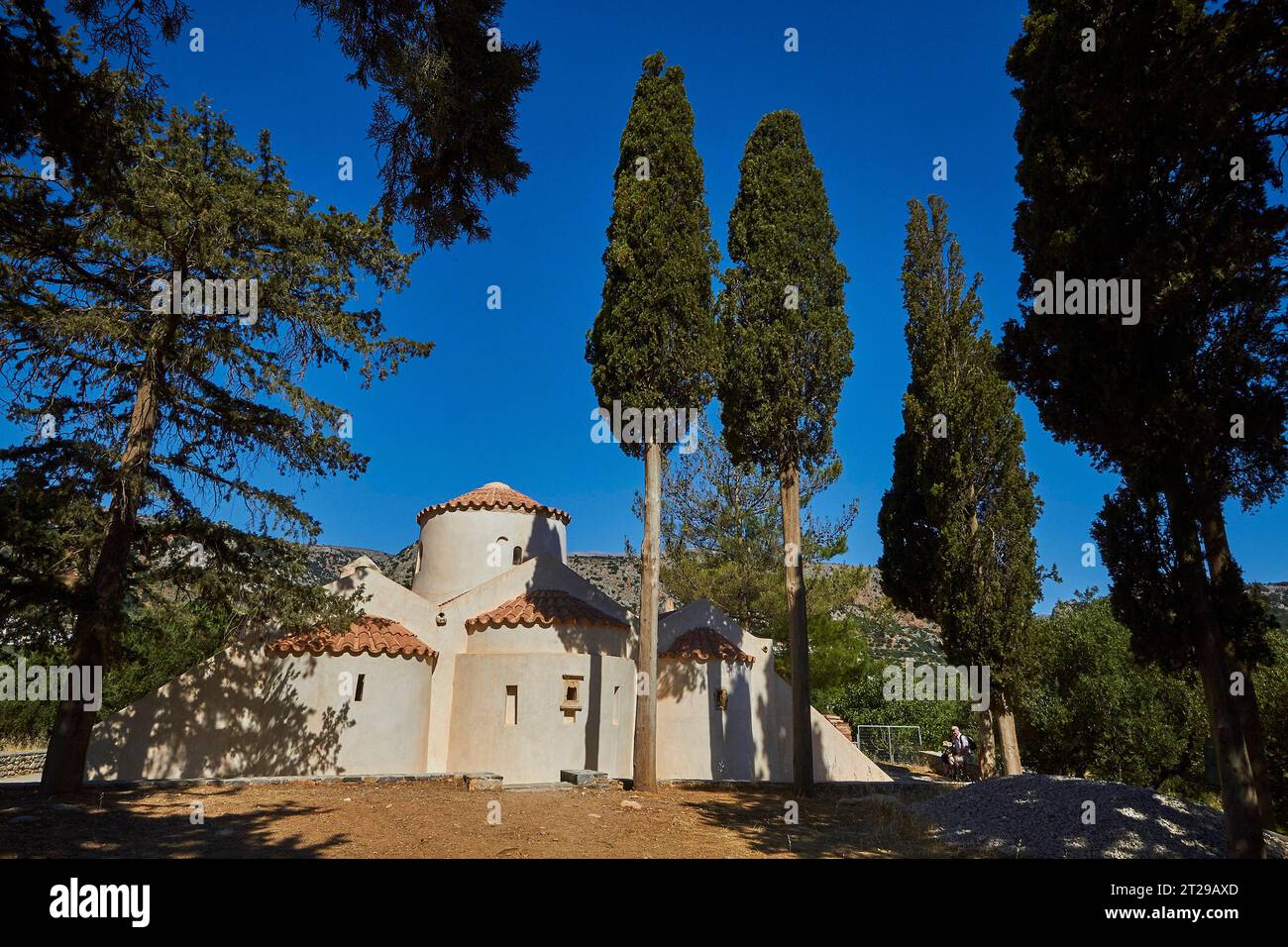 Greece cypress hi-res stock photography and images - Alamy