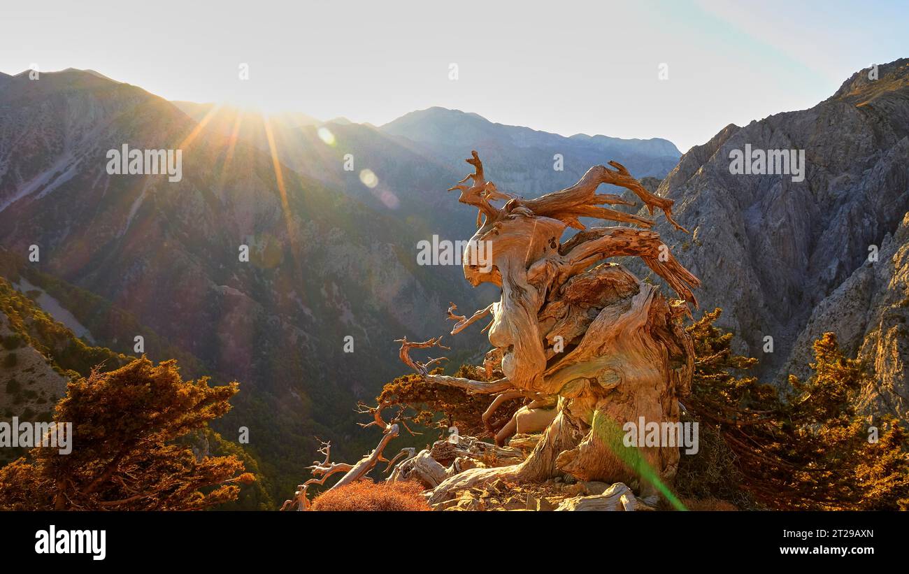 Morning light, sunrise, sun as a star, climbing Gingilos, Omals ...