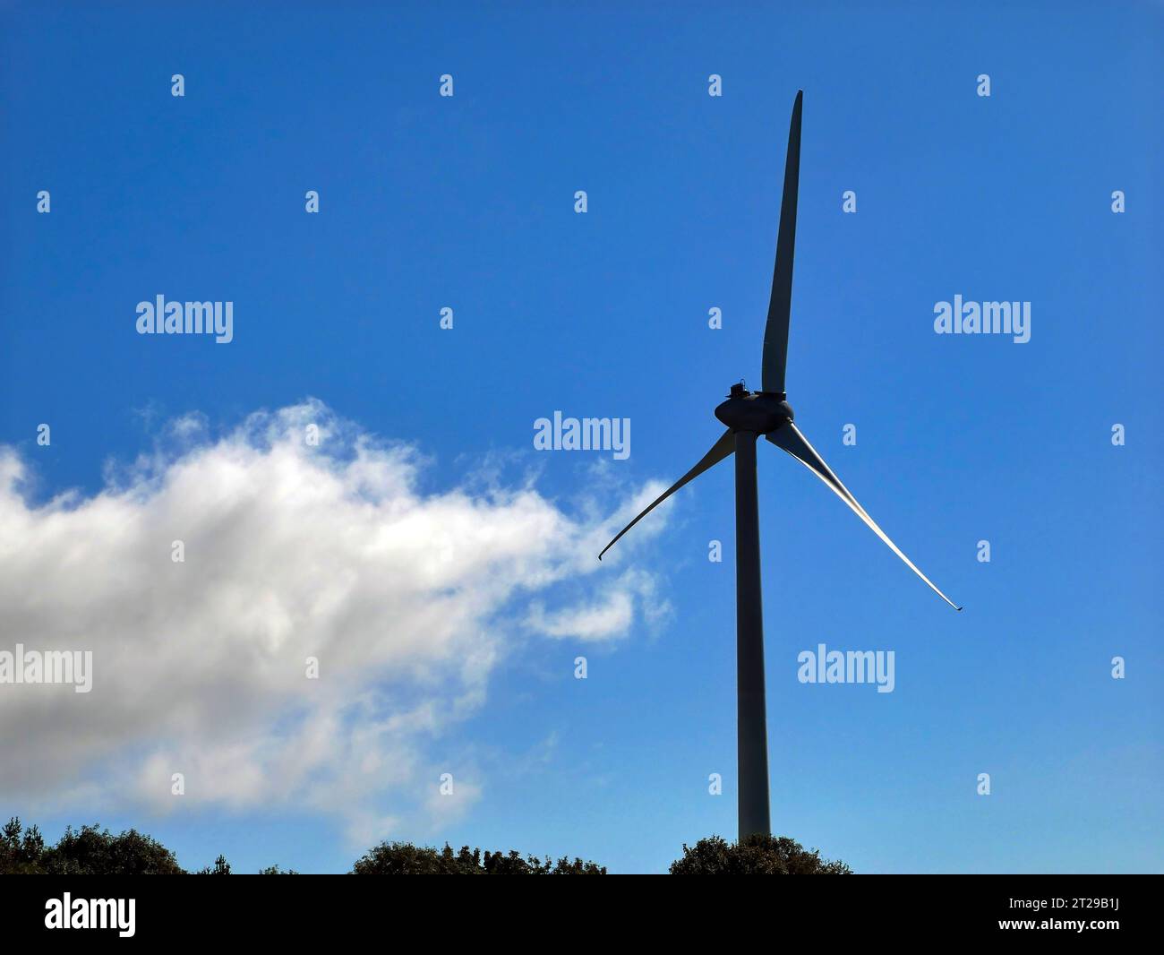 Wind power plant rotor close view. Windpower generator. Green energy ...
