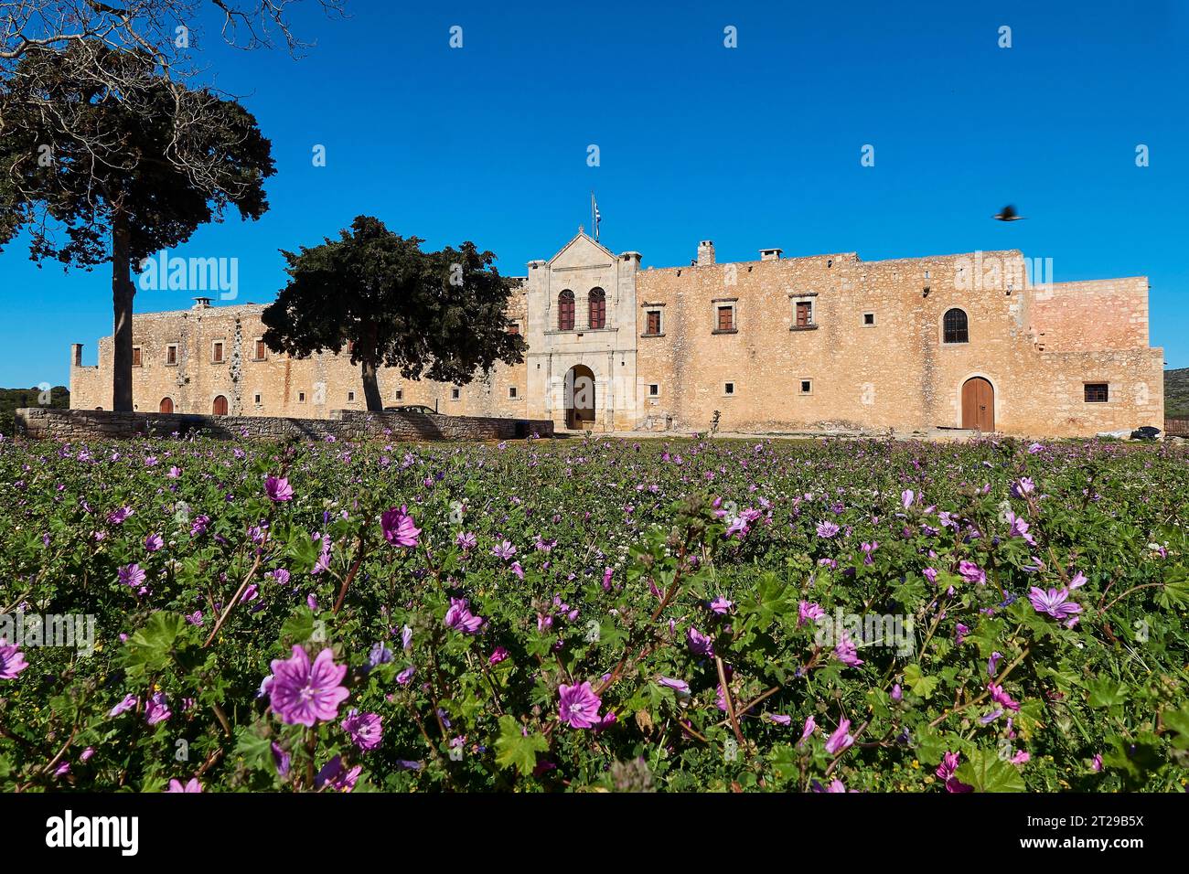 Spring meadow, purple flowers, trees, facade, fortress-like monastery ...