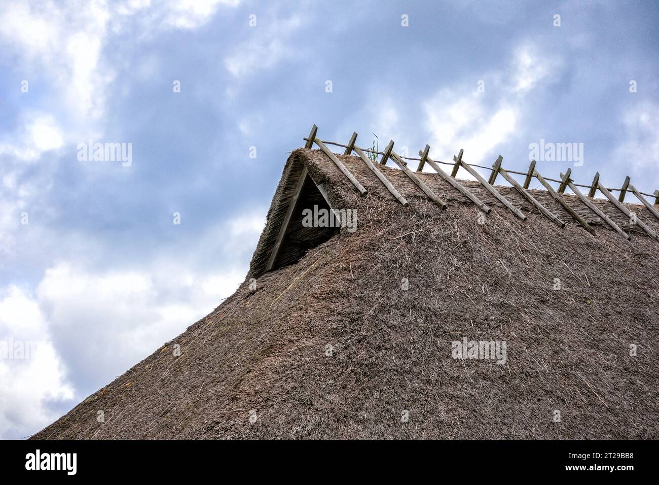 A reed roof with wooden fasteners on it against a blue sky background ...