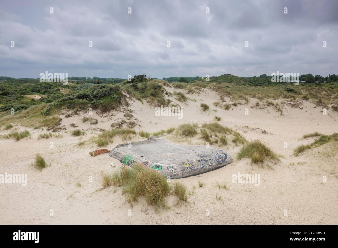 Destroyed bunkers in the dunes of Dunkirk, North Sea, Hauts-de France ...