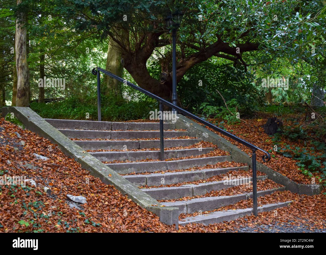 Leaves covering steps hi-res stock photography and images - Alamy