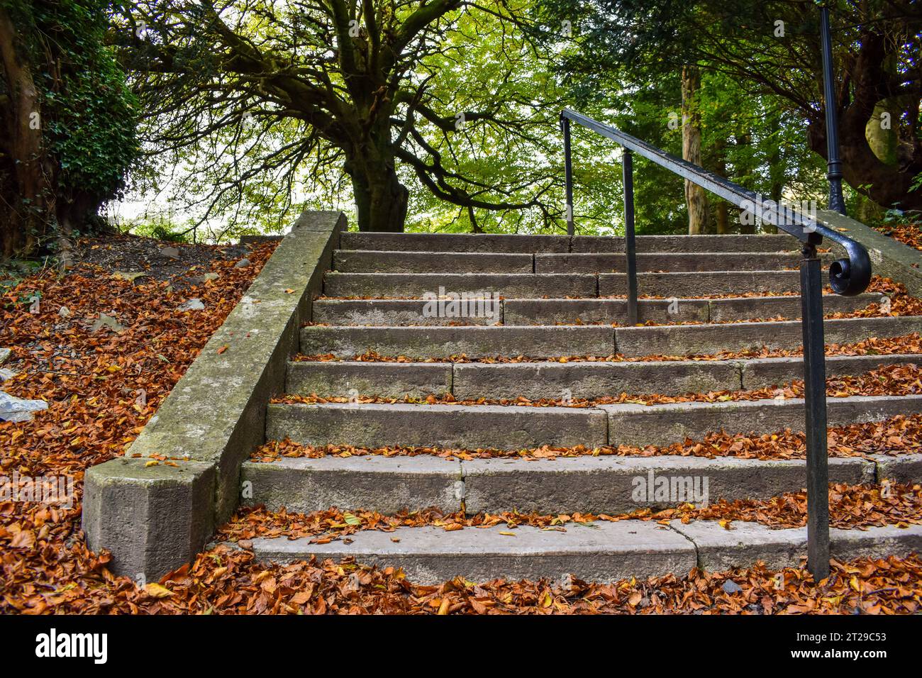 Dead leaves laying on some old stone steps, a black iron handrail with ...