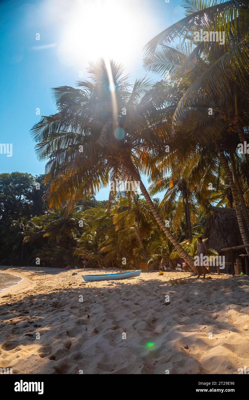 Cocalito beach in Punta de Sal and a local boat under a palm tree, Tela ...