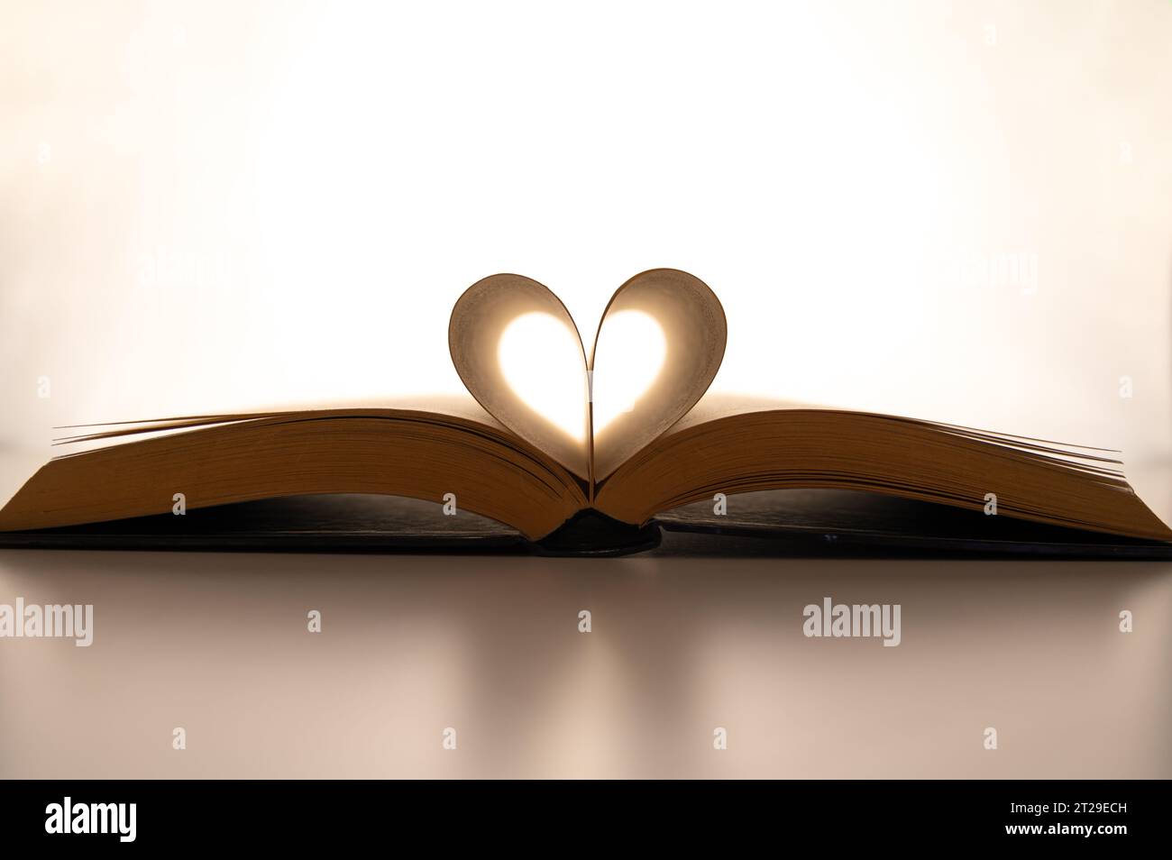 Open book and pages folded to form a heart, on a white background. Love ...