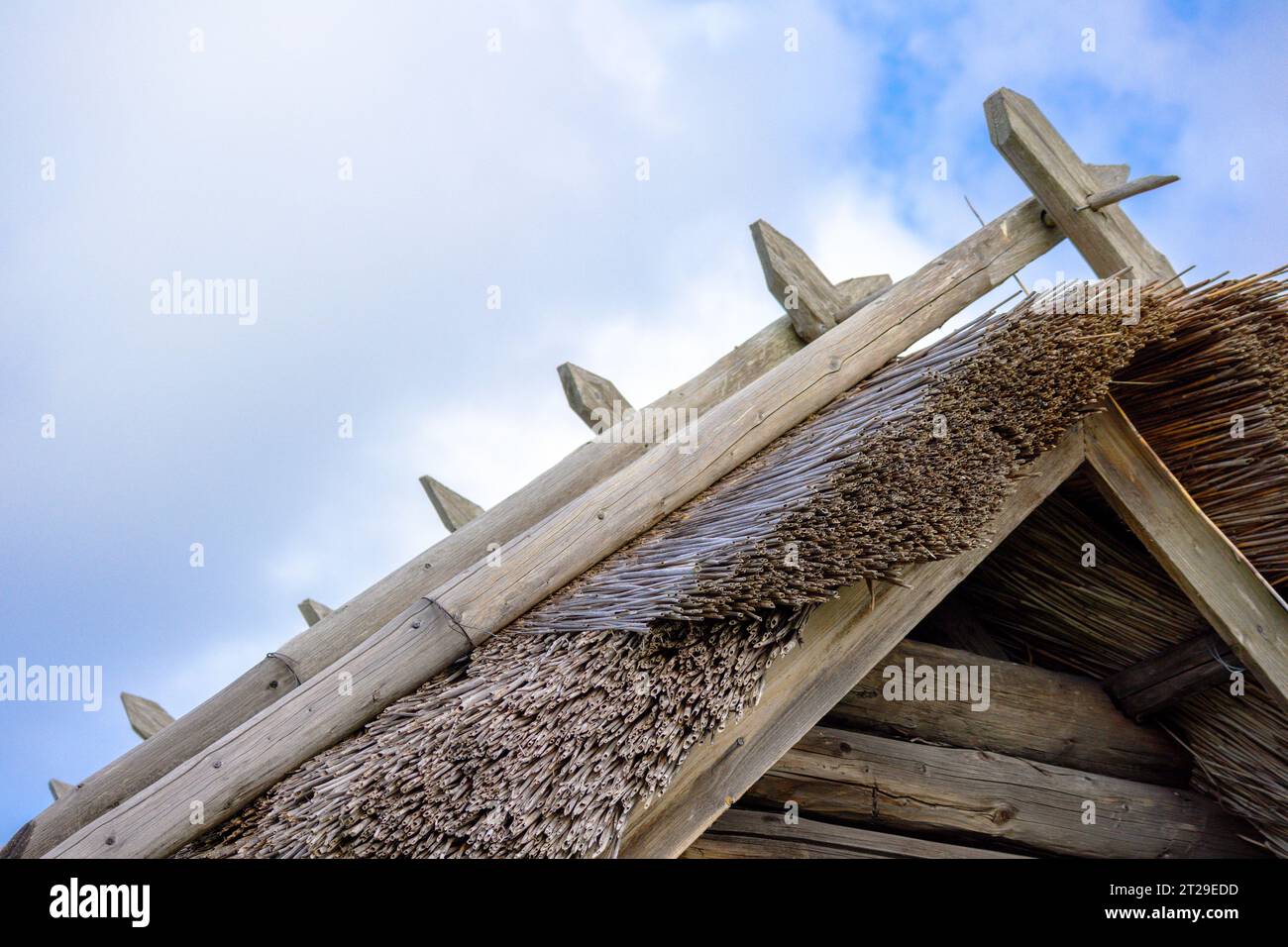 A reed roof with wooden fasteners on it against a blue sky background ...