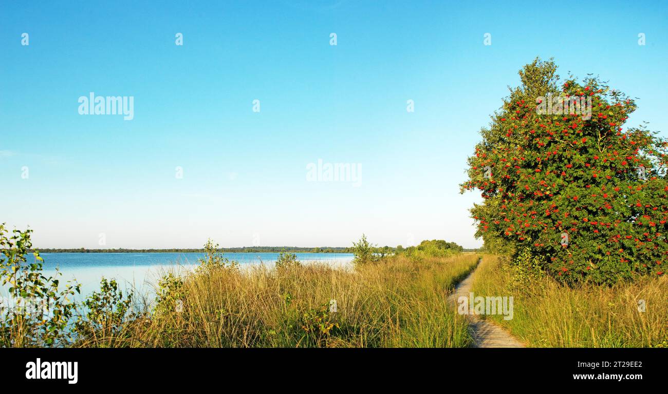 Eternal Sea, nature reserve, East Frisia, Germany Stock Photo - Alamy