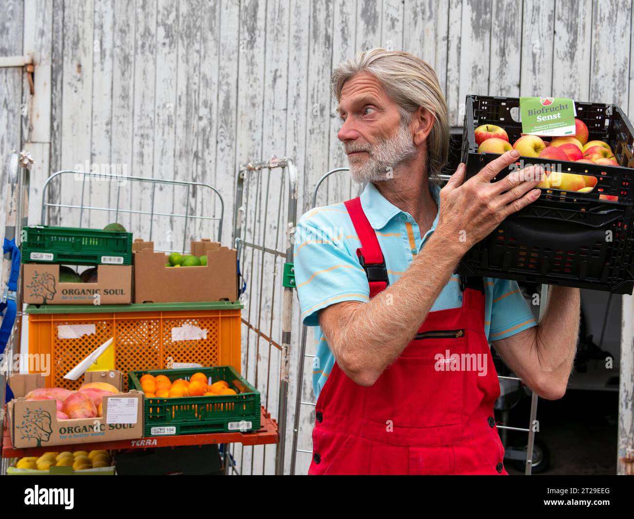 Delivery in organic trade, man with crate of apples, trolley in front ...