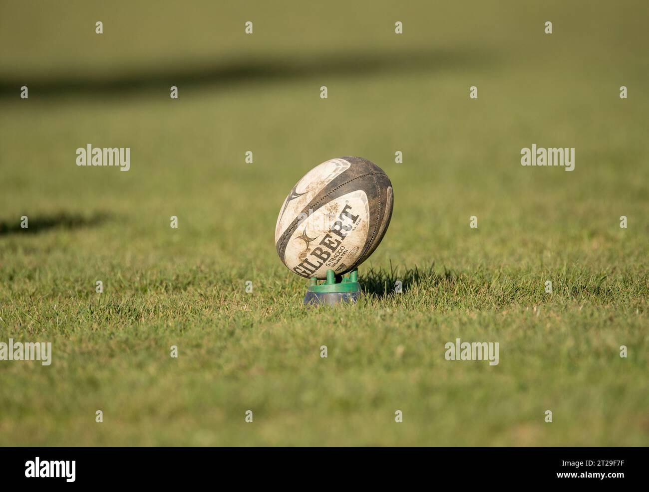 Gilbert rugby union football on a stand ready to be kicked Stock Photo ...