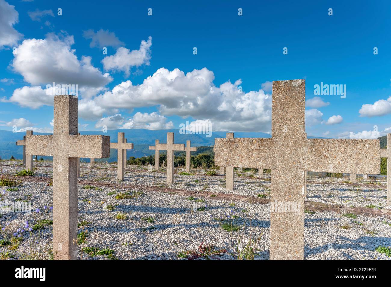 Crosses of burial ground in former Natzweiler-Struthof concentration ...